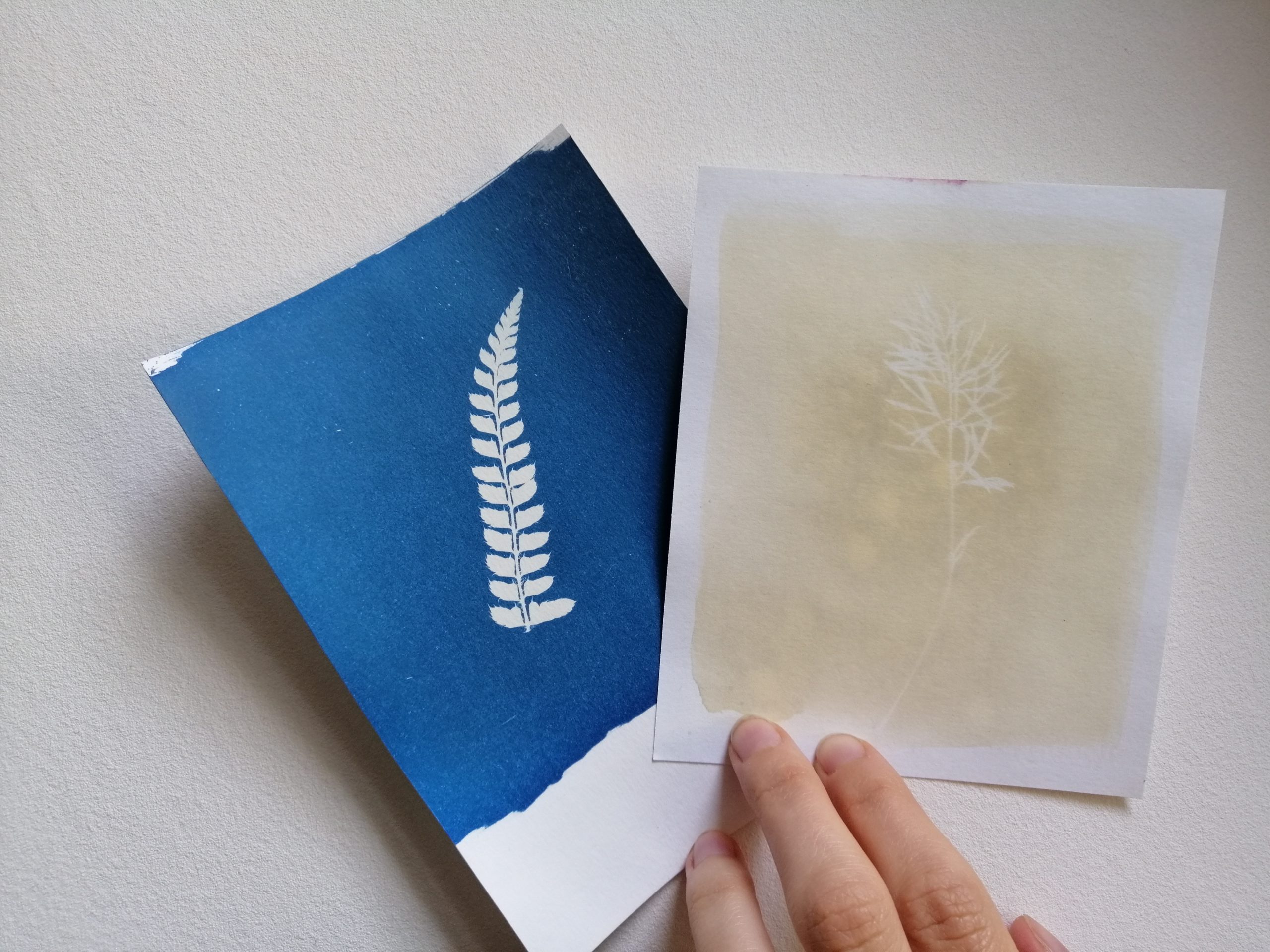 Virage cyanotype : comment faire pâlir un cyanotype • Tout pour le ...
