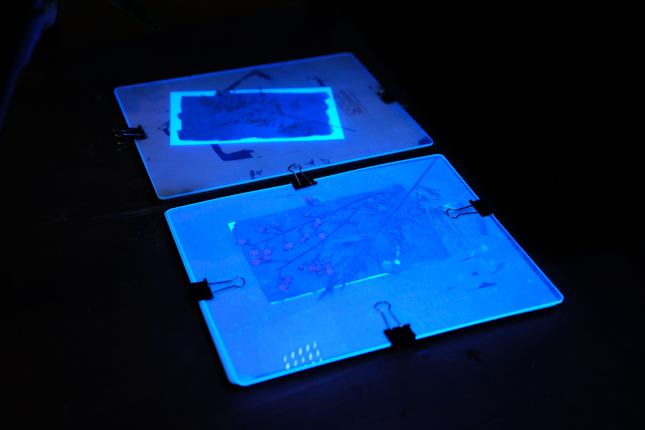 Blog • Tout pour le cyanotype