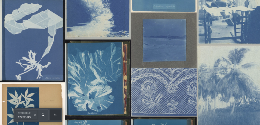 Cette collection immense de cyanotypes est accessible gratuitement ...